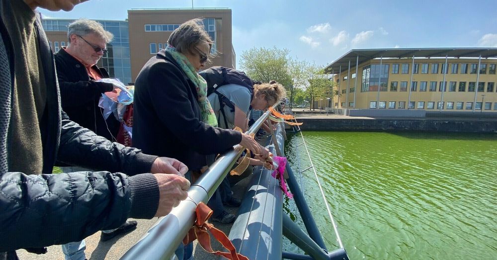 Lintjes wapperen aan brug in Middelburg als protest - Omroep Zeeland