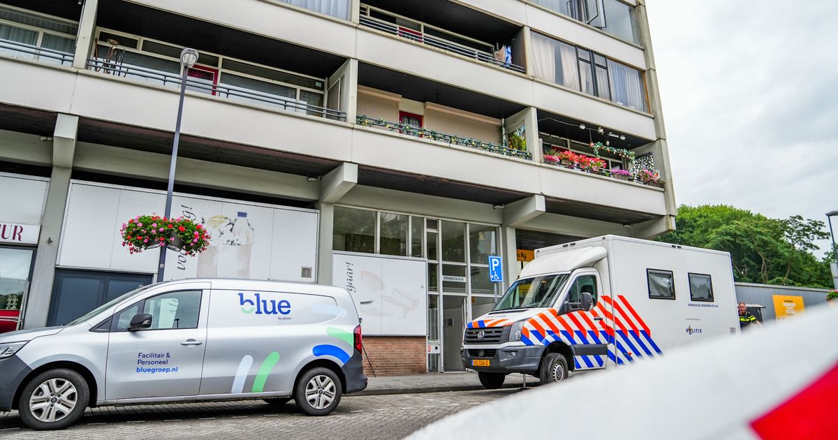 Emmenaar (21) overleden na steekpartij, verdachte aangehouden - RTV Drenthe