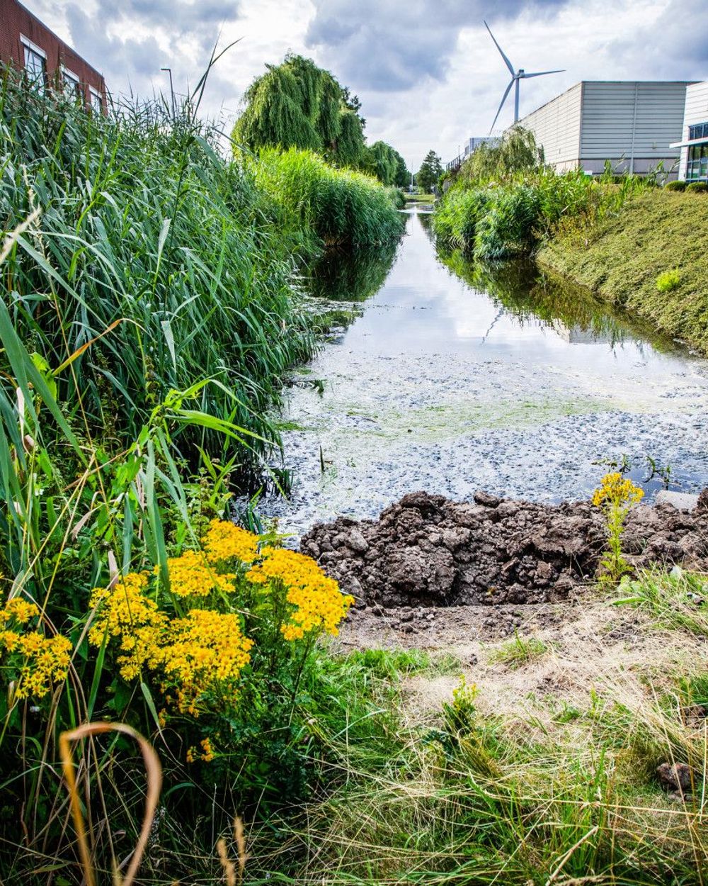 Sloot in Den Haag afgesloten na nieuwe PFAS-meting - Omroep West