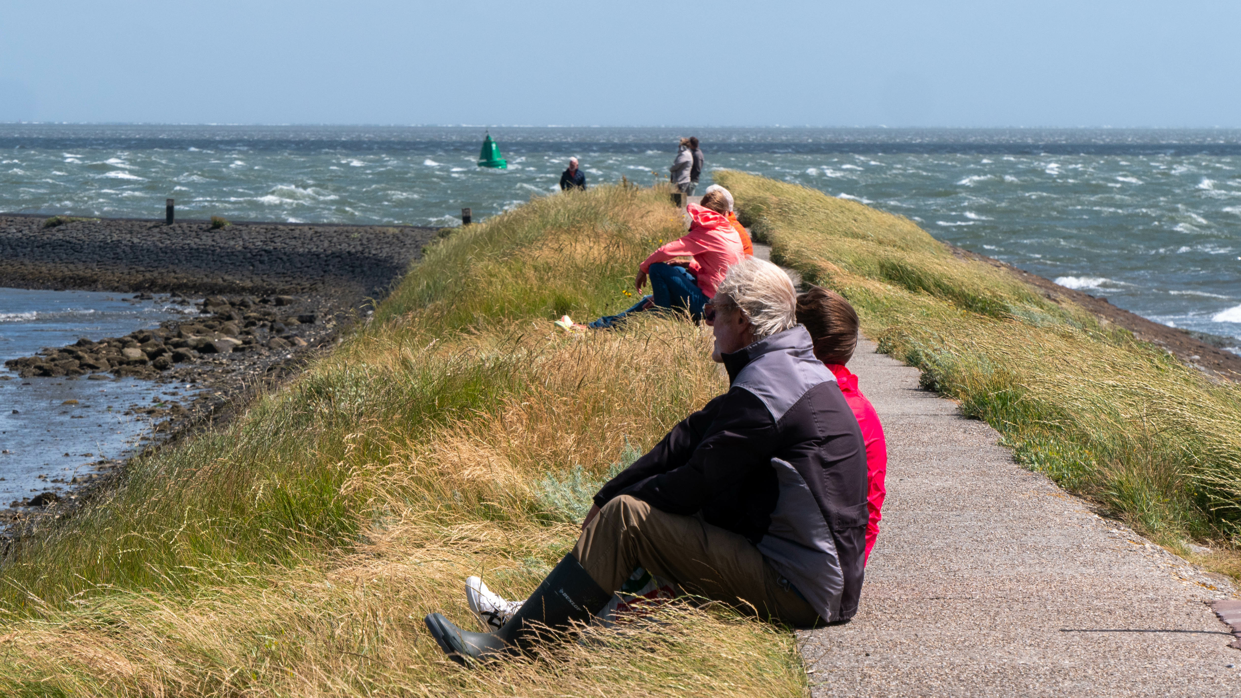 Harde wind zorgde voor problemen in Fryslân: omgewaaide bomen en ...