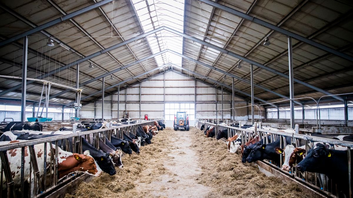 Waarom krijgt de boer overal de schuld van? - Omroep Gelderland