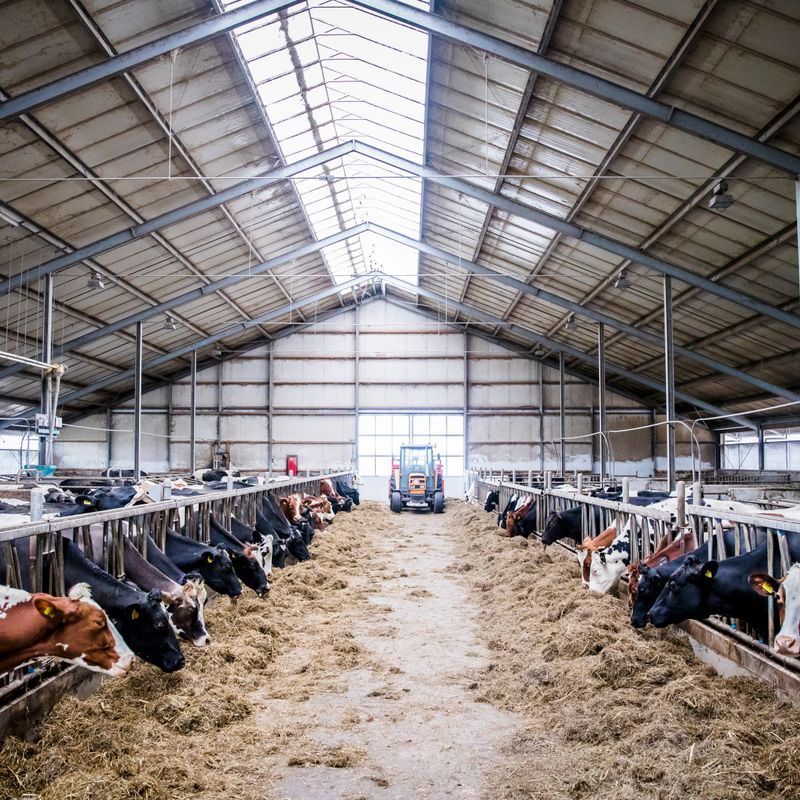 Waarom krijgt de boer overal de schuld van? - Omroep Gelderland