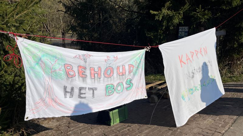 Bomen in Betonbos (voor even) gered van de kettingzaag. Maar wie stopte ...