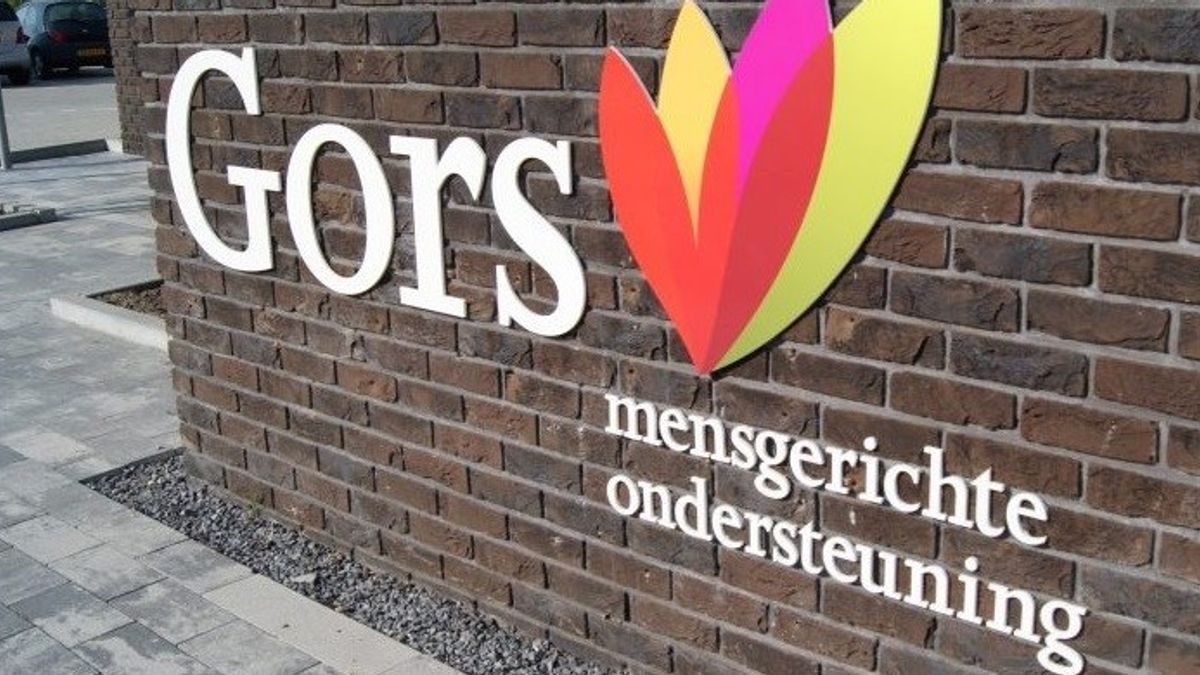 Gehandicaptenorganisaties Gors en Zuidwester gaan fuseren - Omroep Zeeland