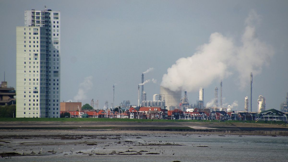 Economie in heel Zeeland krimpt, voor het eerst sinds de coronacrisis ...