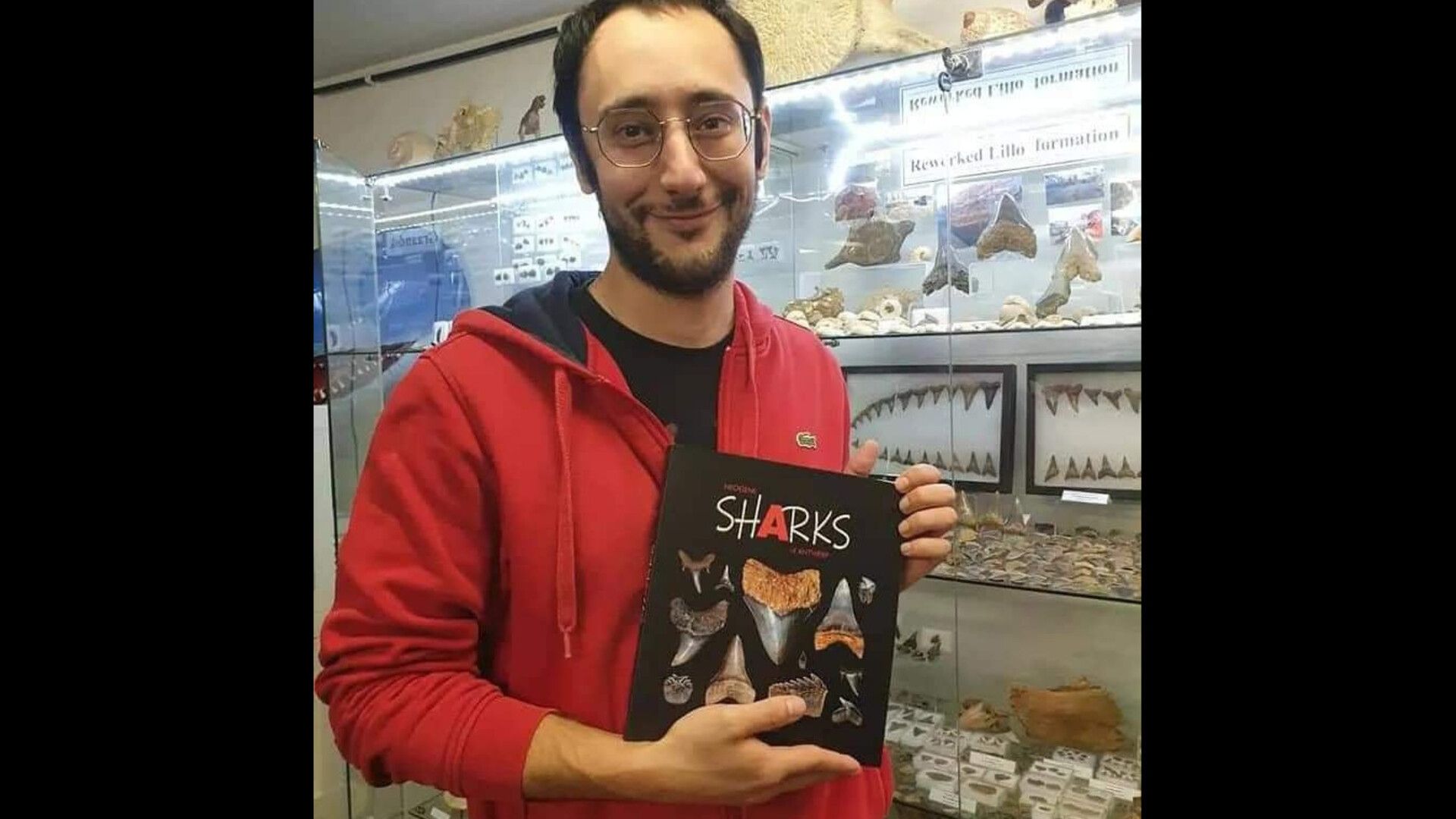 Niet alleen Cadzand, maar vooral Antwerpen is haaientanden-hotspot ...