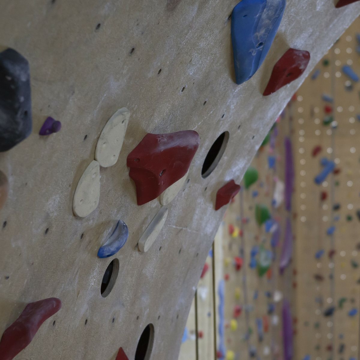 Sportpark Meerdijk in Emmen krijgt vermaak voor jong en oud: Monkeytown ...