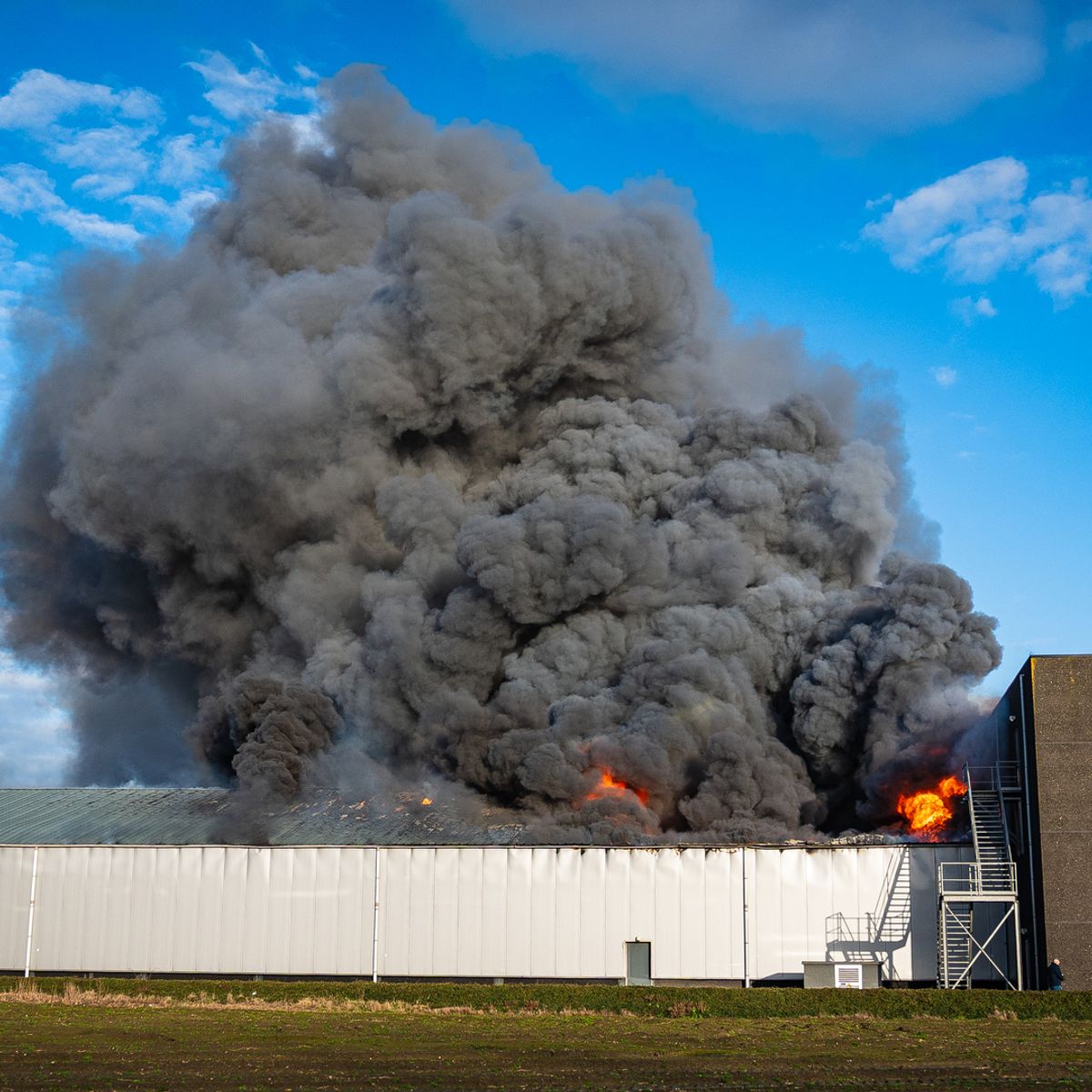 Grote brand in loods, blussen duurt mogelijk nog dagen - Rijnmond