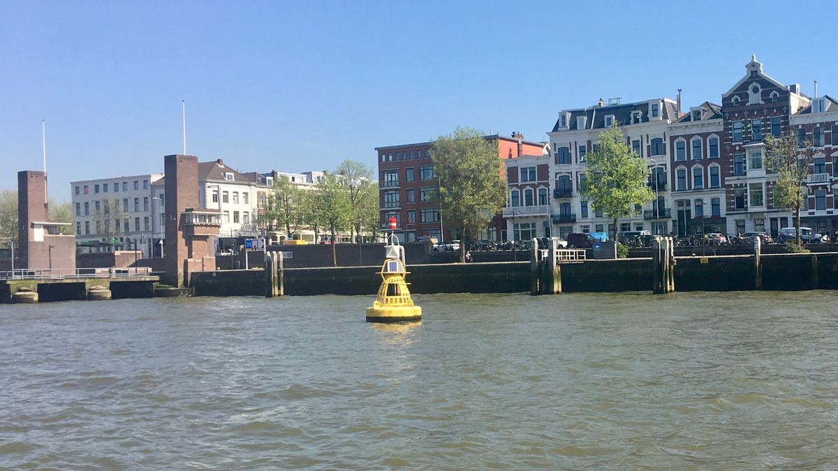 As van Frits Bom uitgestrooid over de Maas - Rijnmond
