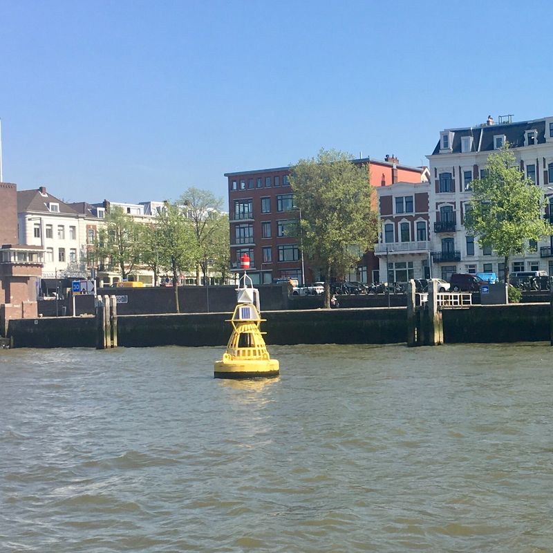 As van Frits Bom uitgestrooid over de Maas - Rijnmond