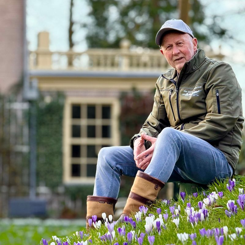Krokuswandelingen op landgoed Overcingel: 'Natuur en cultuur komen hier ...
