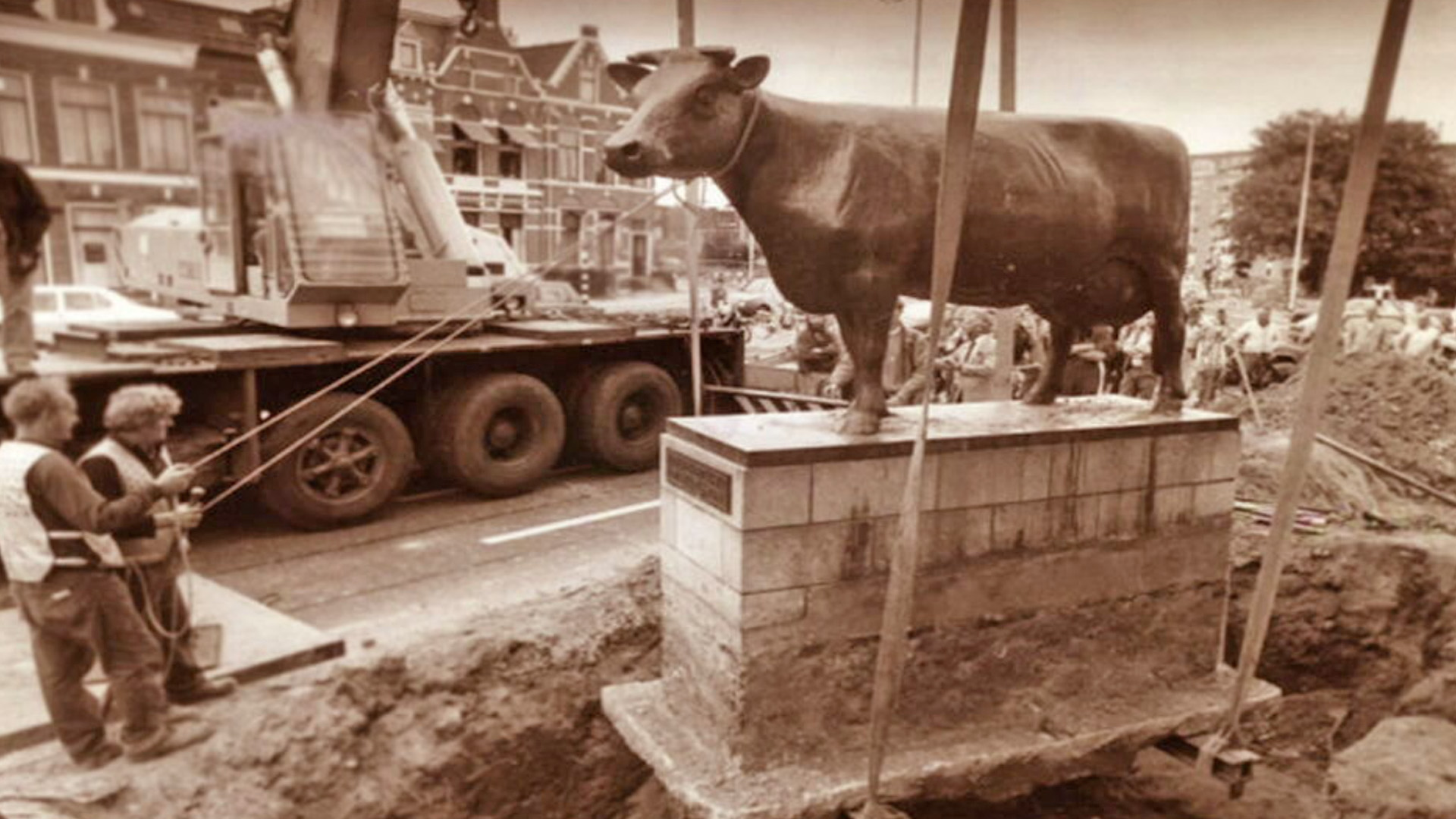 70 jaar 'Us Mem': het ideaalbeeld van dé Friese koe die bijna niet meer ...