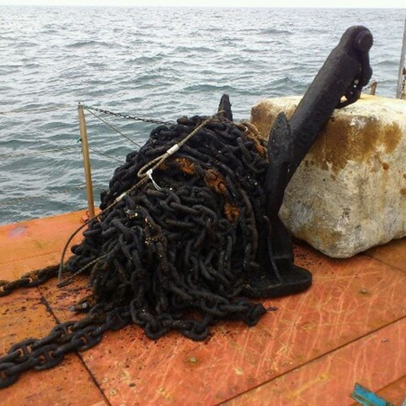 Wat is een een azijnzurenhoutenankerkettingopslagpenning? - Rijnmond