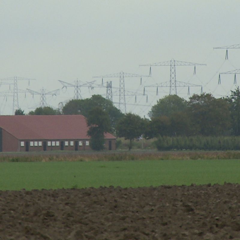 Tennet compenseert boeren voor nieuwe hoogspanningslijn - Omroep Zeeland