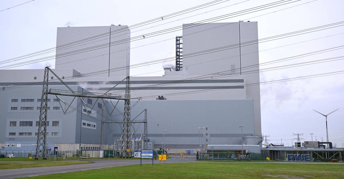 Milieuorganisatie eist dat rechter biomassasubsidie Eemshavencentrale ...