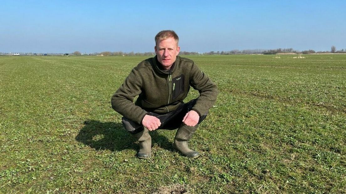 Eerste kievitsei Schiermonnikoog als laatste gevonden, vrije veld in ... Eerste kievitsei Schiermonnikoog als laatste gevonden, vrije veld in ...