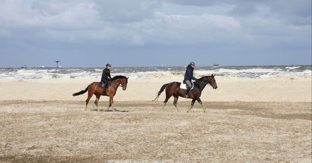 Dikke laag schuim op strand verpest seizoensopening - Rijnmond