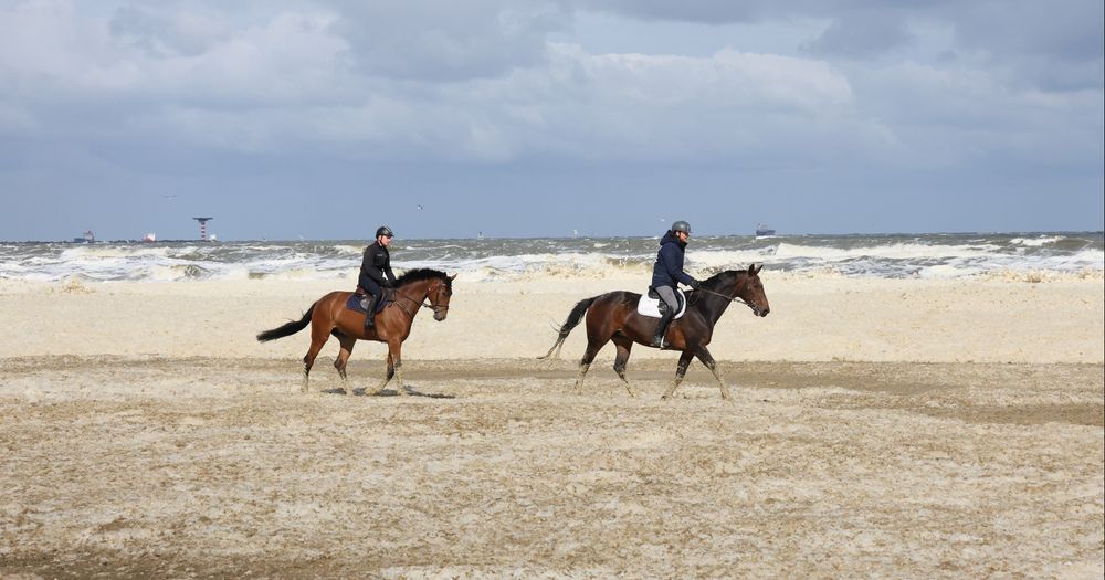 Dikke laag schuim op strand verpest seizoensopening - Rijnmond