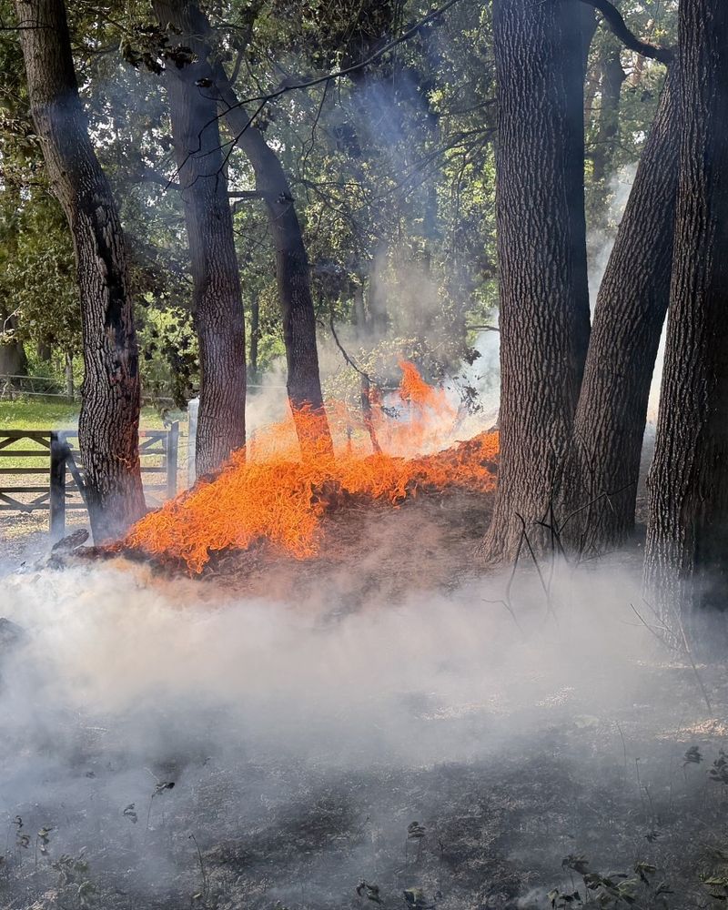 Verhoogd risico op natuurbranden in Zuid-Limburg: brandweer schaalt op ...