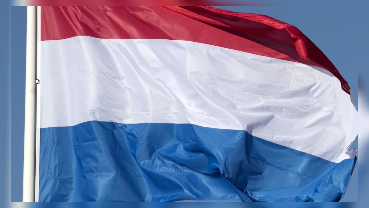 Nederlandse vlag moet in statenzaal, vinden Forum, PVV en 50PLUS ...