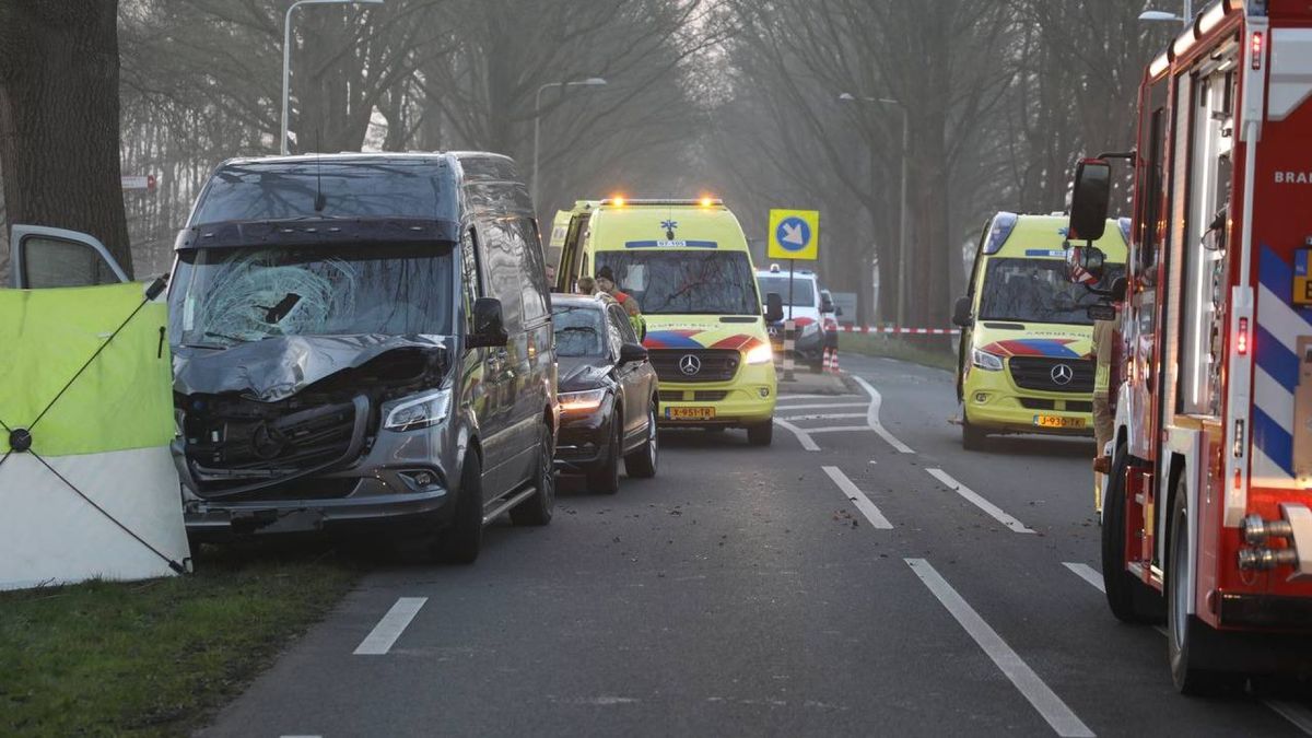 22-jarige fietser overleden bij botsing bestelbus - Omroep Gelderland
