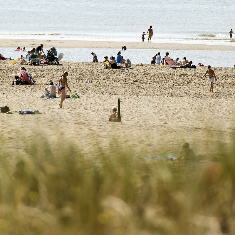 Naar het strand, de stad of helemaal niet weg? Friezen al druk met het ...