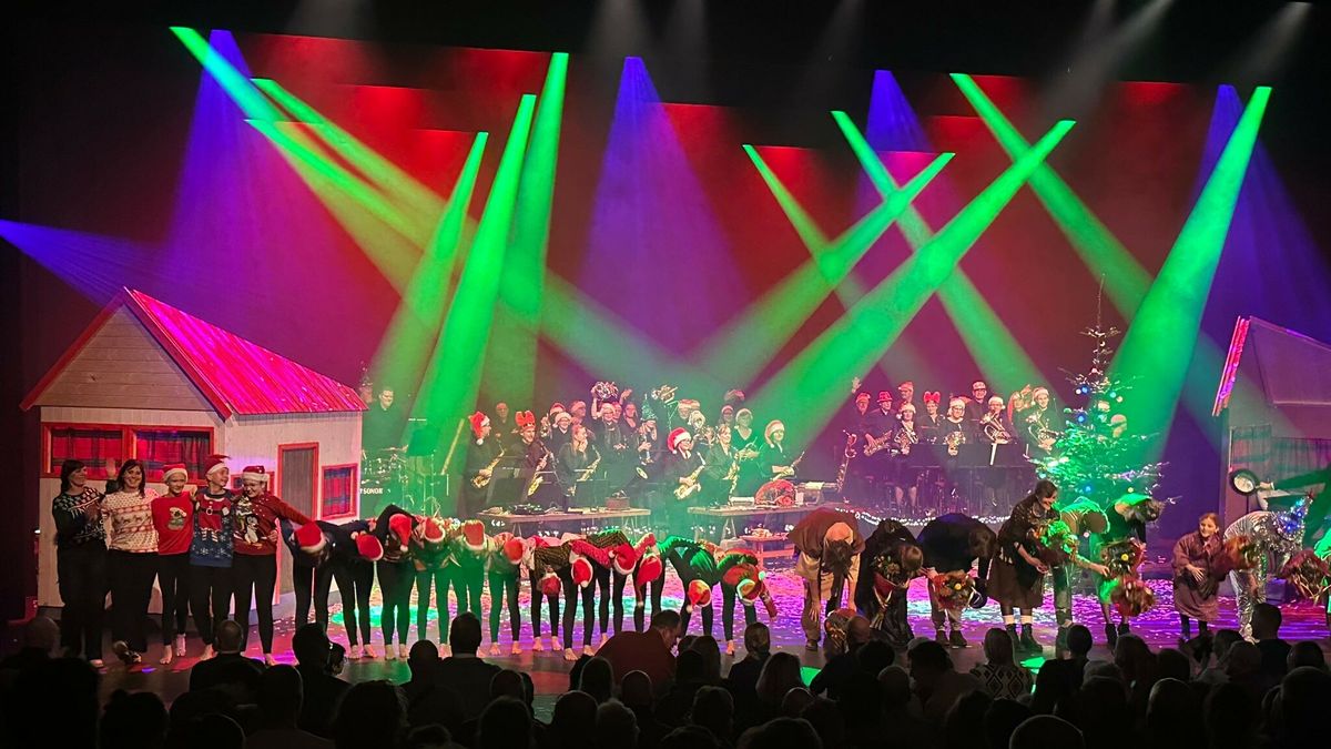 Honderd jaar fanfare in Emmen, Laus Deo krijgt Koninklijke Erepenning ...