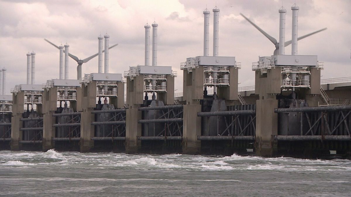 Provincie maakt zich zorgen om onderzoek over Zeeuwse natuur - Omroep ... Provincie maakt zich zorgen om onderzoek over Zeeuwse natuur - Omroep ...