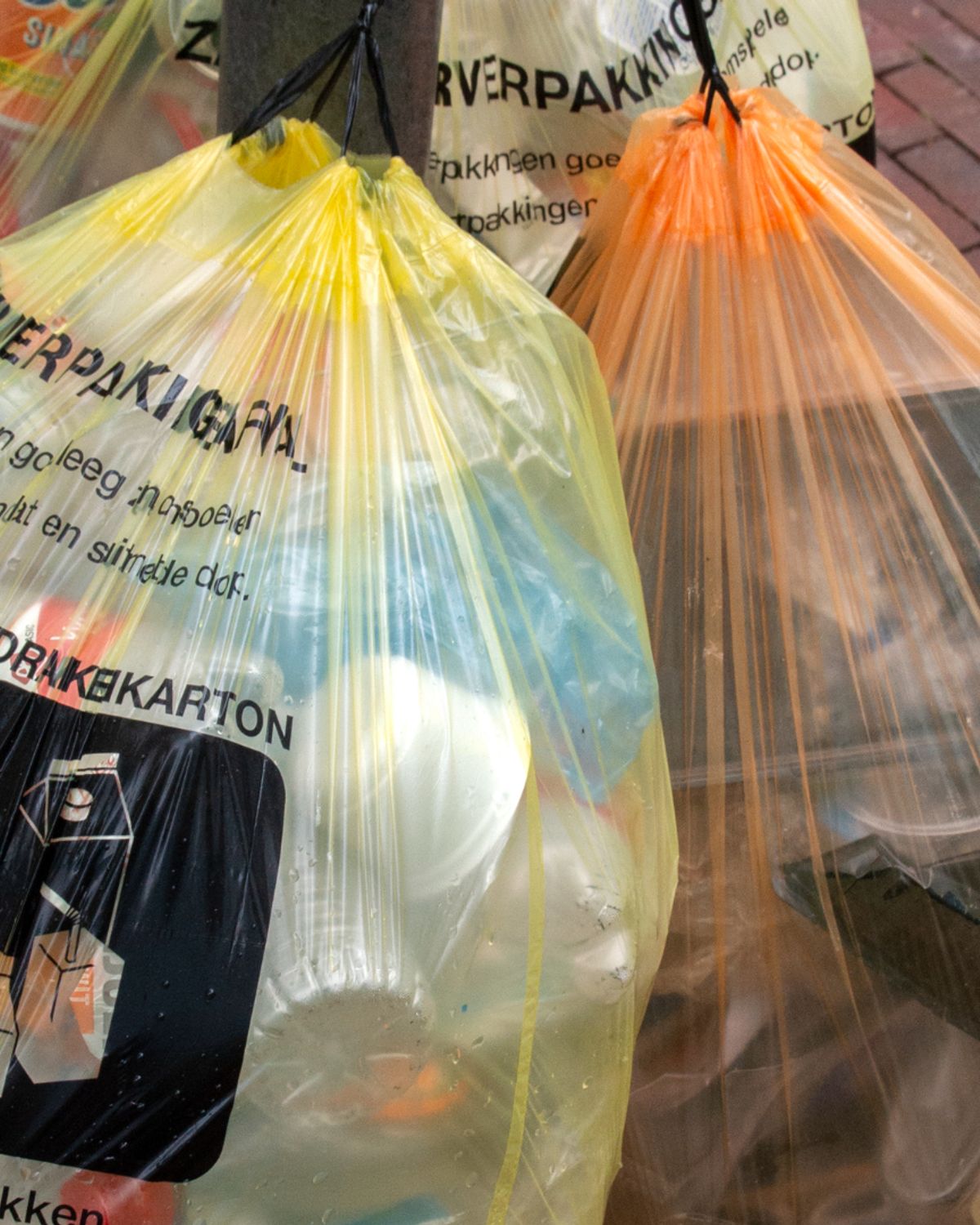 Dit verandert per 1 januari: er mag meer bij het plastic-afval - Rijnmond