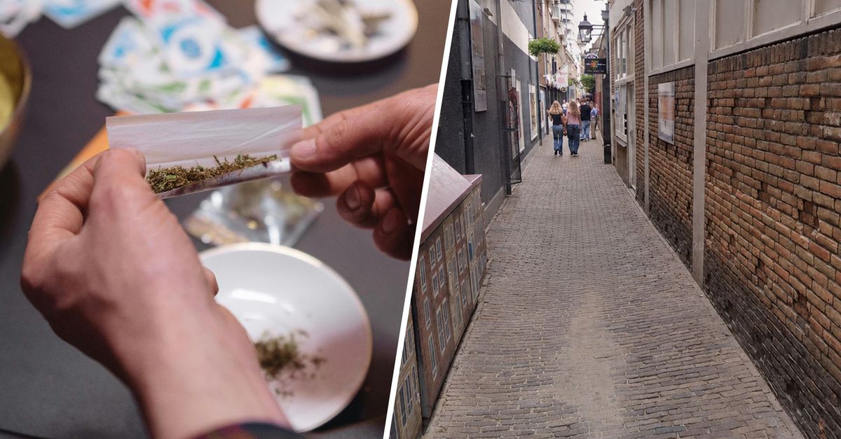 Utrecht ziet ruimte voor nieuwe coffeeshop in binnenstad - UStad