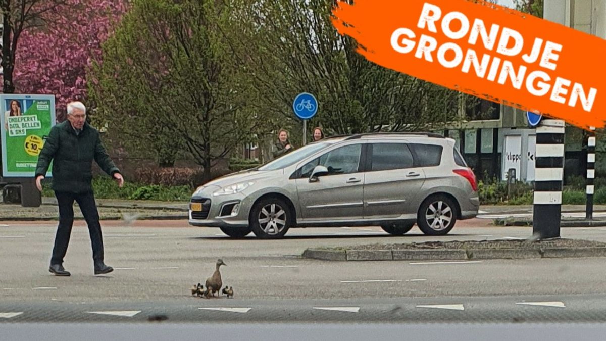 Rondje Groningen: Onder begeleiding naar een veilig onderkomen waggelen - RTV Noord