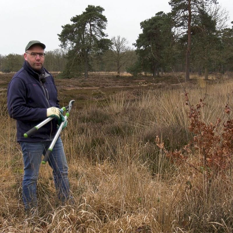 Vrijwilligers onderhouden het Kyllotsbos: 'We zijn er supertrots op' - RTV Drenthe
