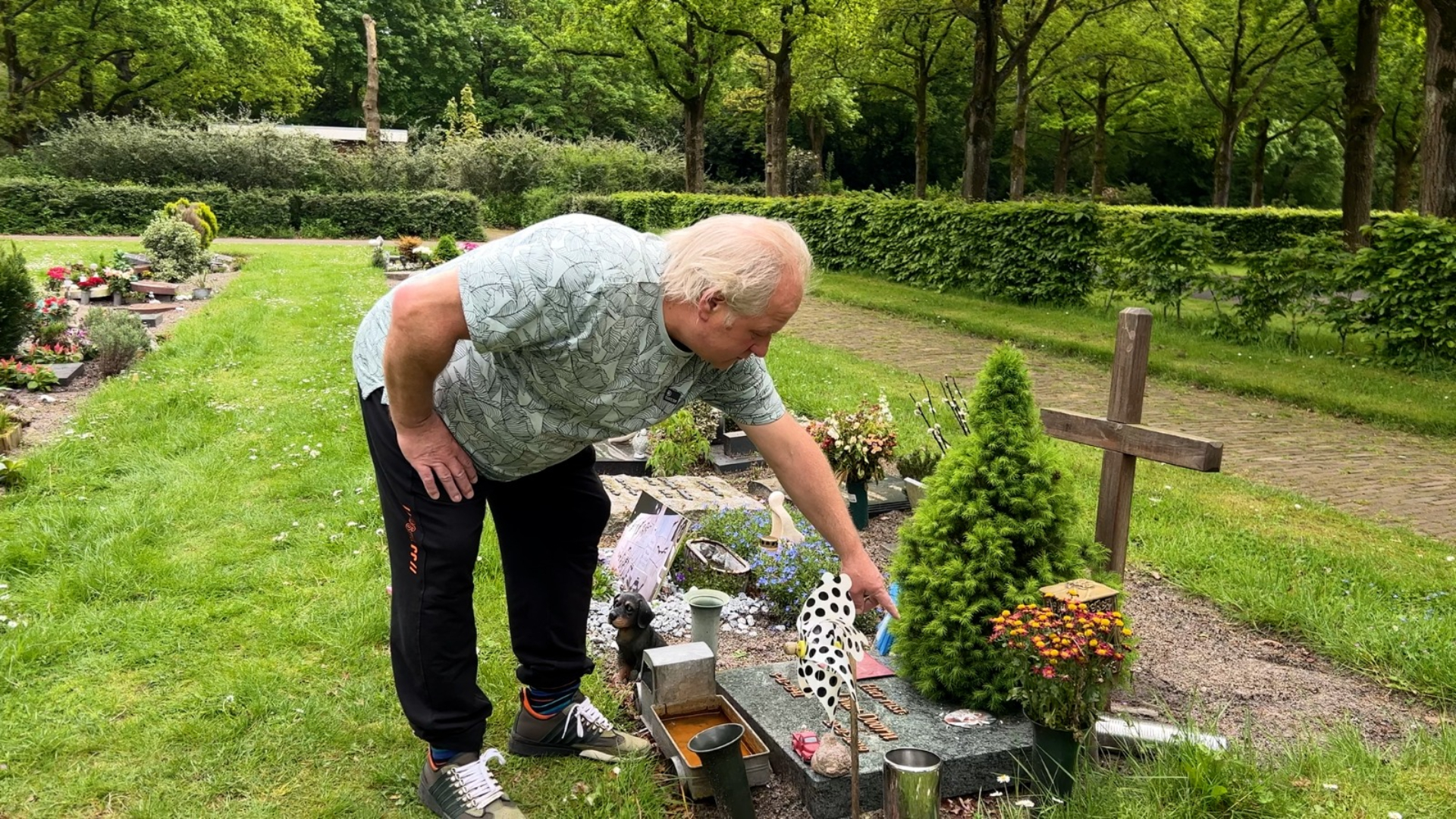 90 graven vernield op Utrechtse begraafplaats: 'Gewoon kansloos' - RTV ...