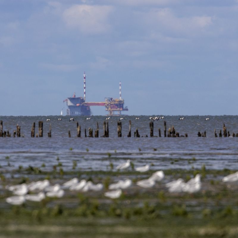 Onderzoekers: rapport negeert negatieve effecten gaswinning Waddenzee ...