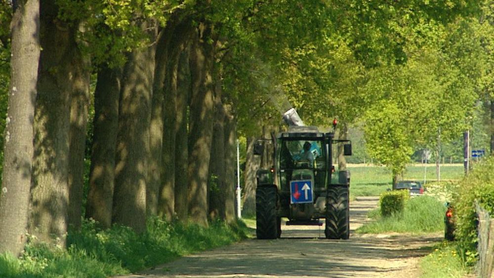 Route krijgt extra behandeling tegen eikenprocessierups - L1