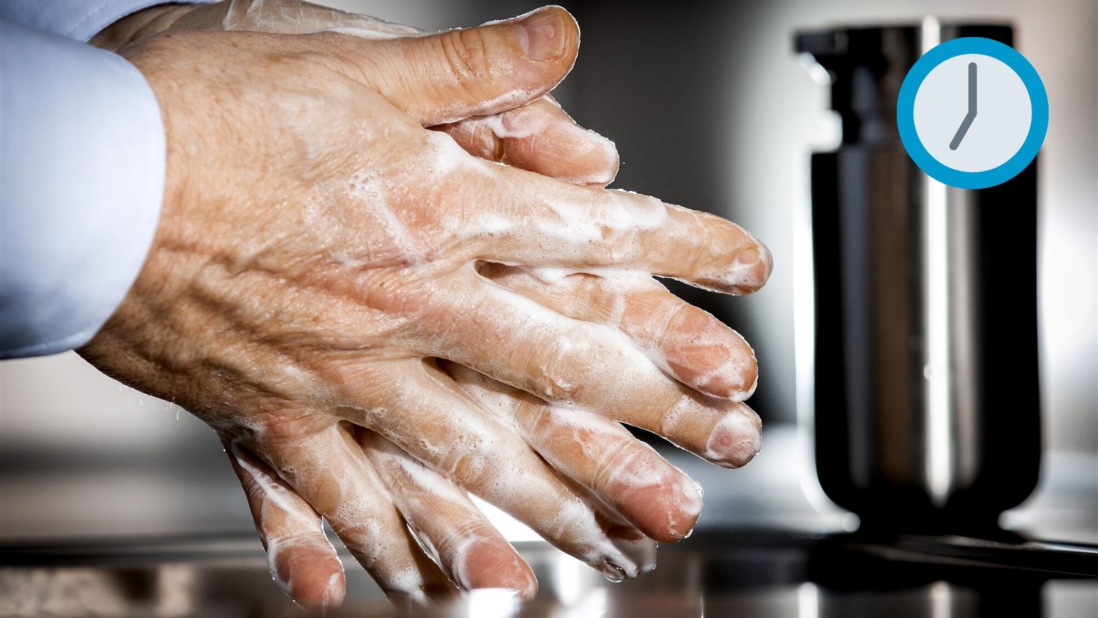 Goedemorgen! Geen handen schudden en honden aan de lijn - Omroep Zeeland