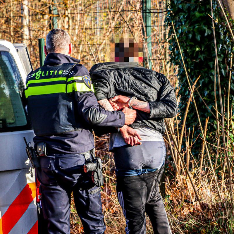 Man aangehouden na mishandeling boa's in Emmen - RTV Drenthe