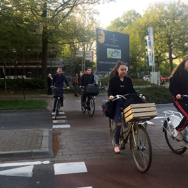 Fietsers in opstand tegen gevaarlijke rotonde Leersum - RTV Utrecht