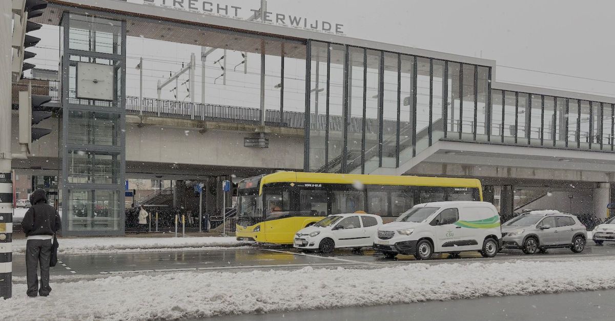 Busvervoer in provincie Utrecht plat door gladheid - RTV Utrecht