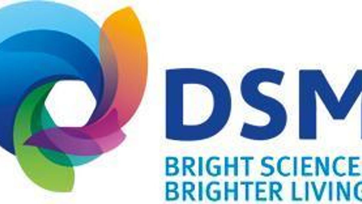 DSM bouwt kunstmestfabriek in Geleen - L1