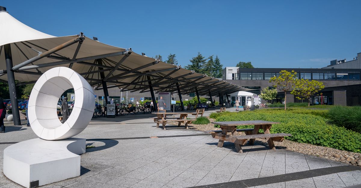 FNV wil oplossingen voor zorgmedewerkers met long covid die baan dreigen kwijt te raken - RTV ...