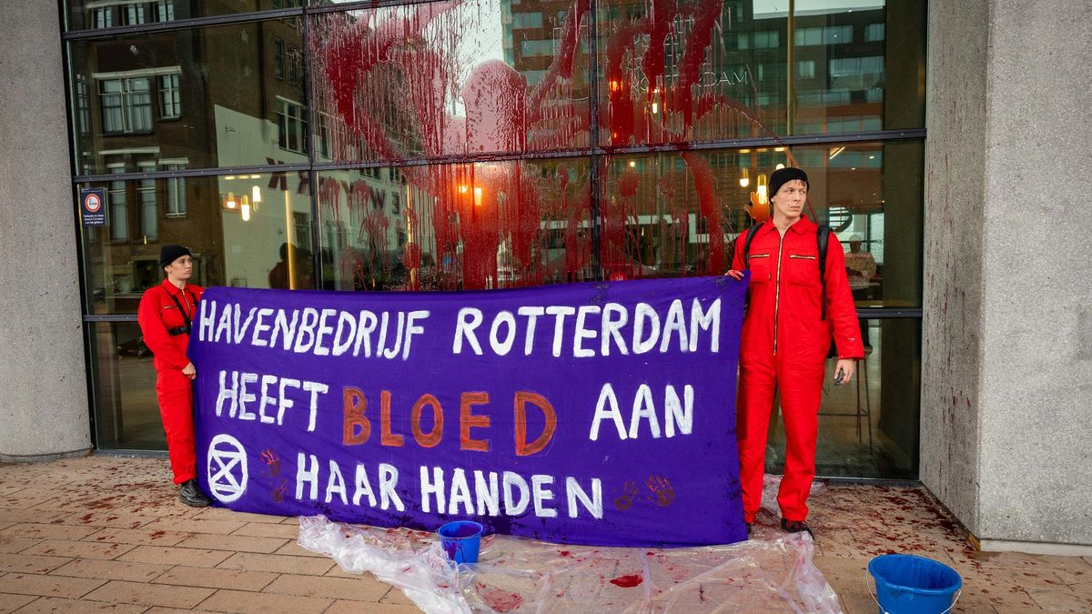 Extinction Rebellion bekladt kantoor Havenbedrijf Rotterdam met rode ...