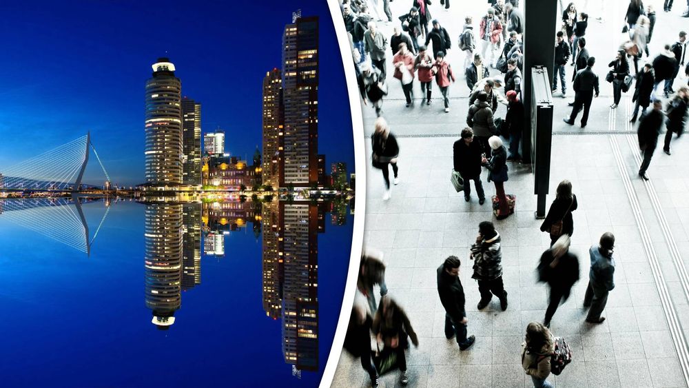 De 'echte' Rotterdammer sterft uit en dit is waarom we daar niks aan ...