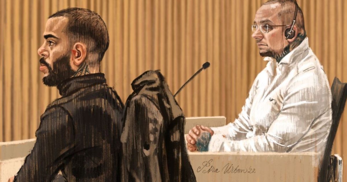 Moordenaars Peter R. de Vries krijgen tot 28 jaar cel - Omroep Gelderland