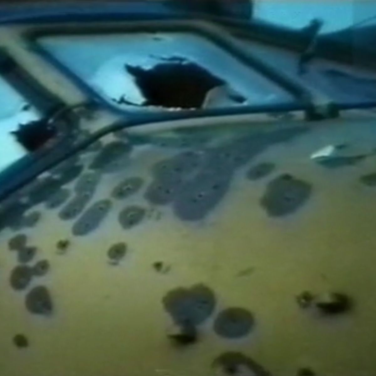 Uitgeschreven geluidsopnames treinkaping De Punt na veertig jaar ...