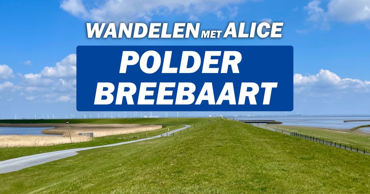 Wandelen met Alice: Polder Breebaart - RTV Noord