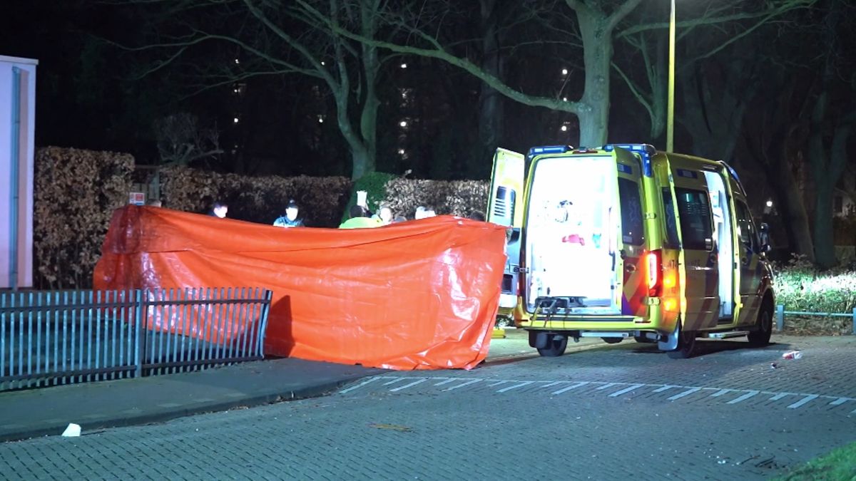 Hulpdiensten rukken uit voor aangereden man - Omroep West