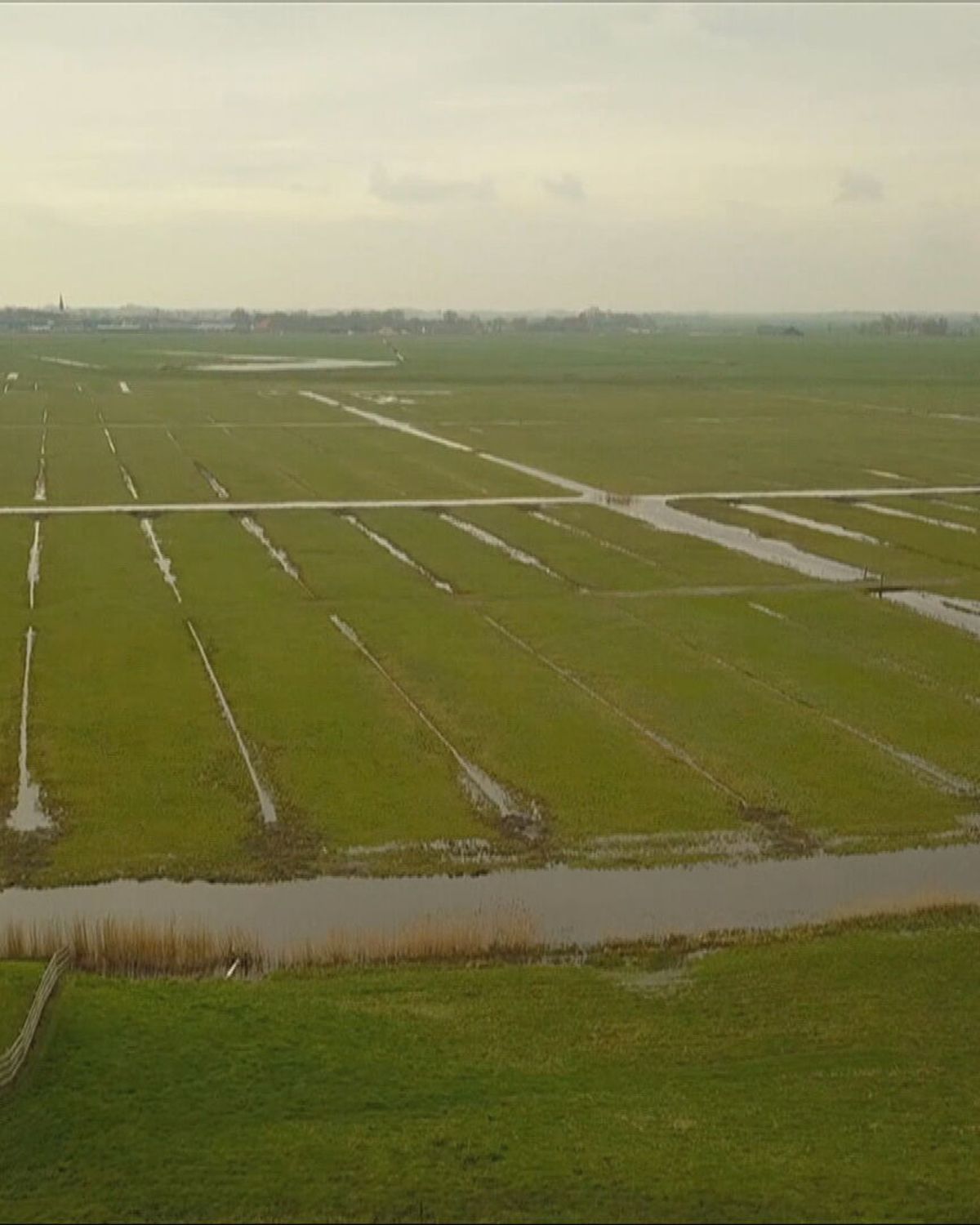 Bij noodweer moet deze Friese polder straks 1,6 miljoen kuub water ...