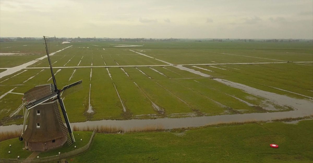 Bij noodweer moet deze Friese polder straks 1,6 miljoen kuub water ...