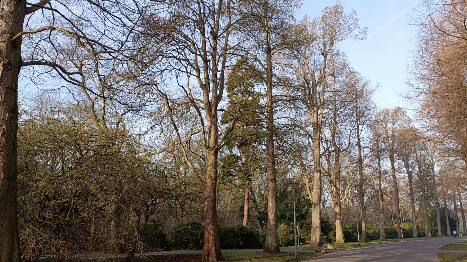 Zeven geheimste en bekendste plekken van Zuiderpark in Den Haag ...